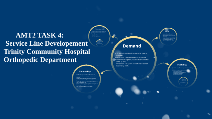 AMT2 TASK 4 SERVICE LINE DEVELOPMENT PRESENTATION by Lyvette Maei ...