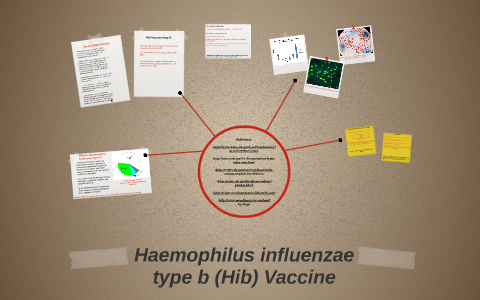 Haemophilus influenza type b(Hib) Vaccine by Kathleen Carrasco on Prezi