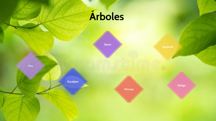 Árboles by CLARA LUCERO HERNANDEZ on Prezi