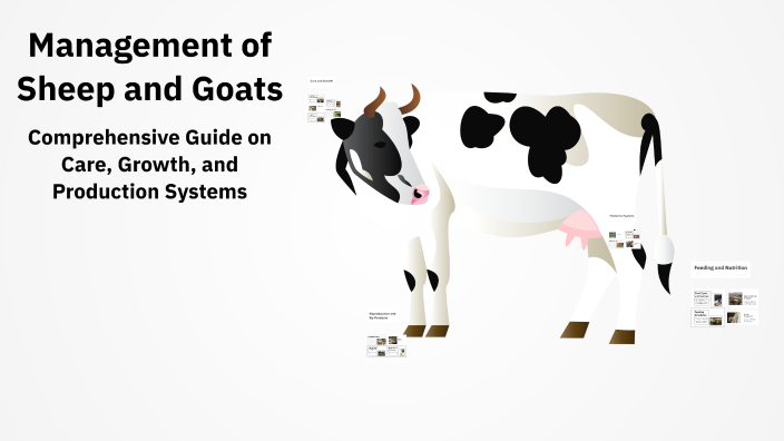 MANAGEMENT OF SHEEP AND GOATS by lorrence lorrimer on Prezi