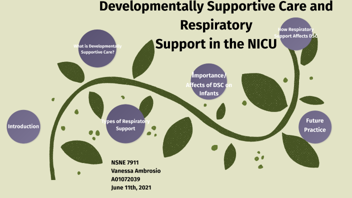 Developmentally Supportive Care and Respiratory Support in the NICU by ...