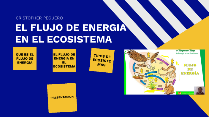 practica de wallace by ESTHER CRISTIAN on Prezi