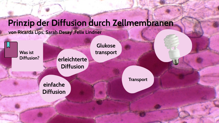 Das Prinzip der Diffusion durch Zellmembranen by RICA l on Prezi