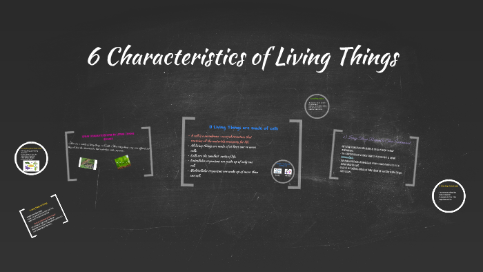 6 Characteristics of Living Things by Zahra Awad on Prezi