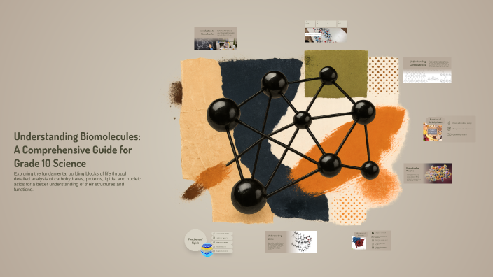 Understanding Biomolecules: A Comprehensive Guide for Grade 10 Science ...