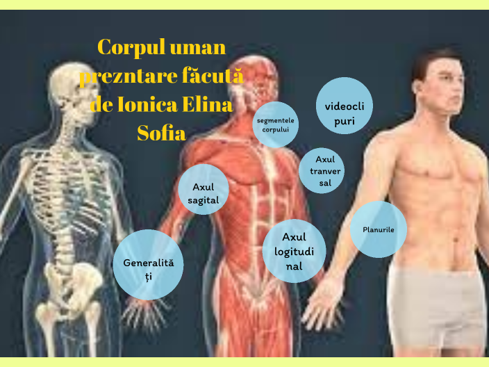Prezentare despre corpul uman by Ionica Elina on Prezi