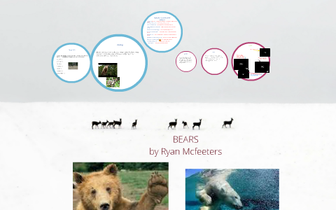 Bears by Ryan McFeeters on Prezi