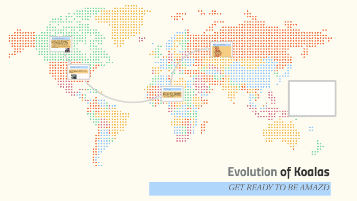 Evolution of Koalas by nevaeh harvey on Prezi