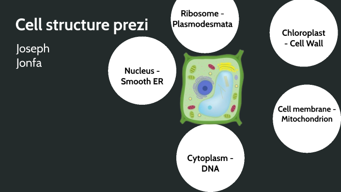 Cell Structure Prezi by joseph jonfa on Prezi