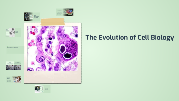 The Evolution of Cell Biology by John Daniel Llacuna on Prezi