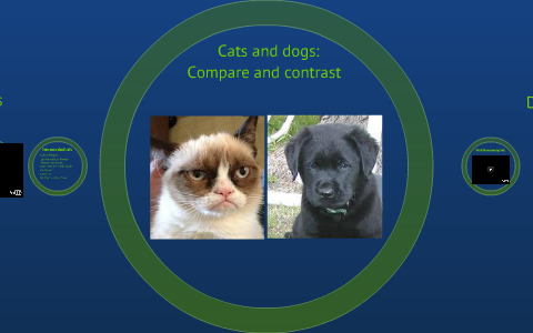 Cats and dogs: Compare and contrast by JT Franey on Prezi