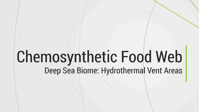 Deep Sea Food Web by Marissa Miller on Prezi