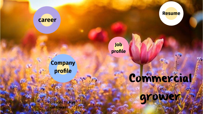 FLORAL CAREER PROJECT by Mya Contreras on Prezi