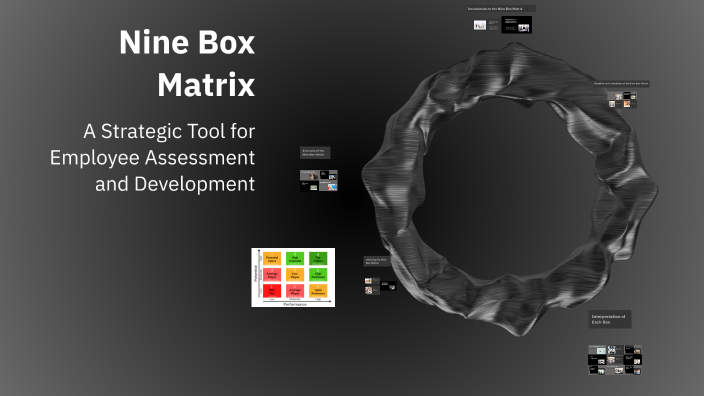 Nine Box Matrix by on Prezi