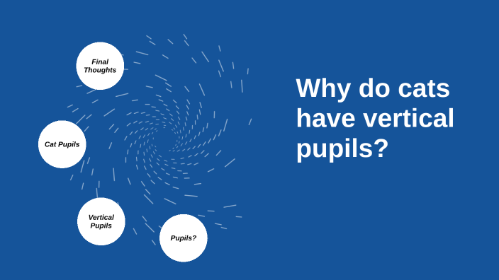 Why do Cats have vertical pupils? by Shane Bennett on Prezi