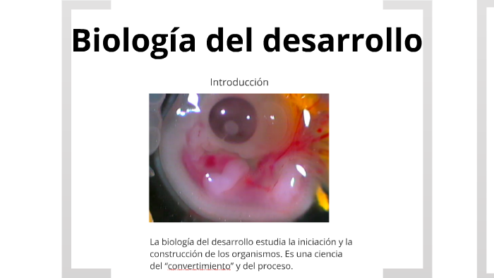 anatomia del desarrollo2 by Erika Herrera on Prezi