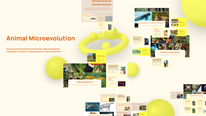 Animal Microevolution and Natural Selection by Coco Dodge on Prezi
