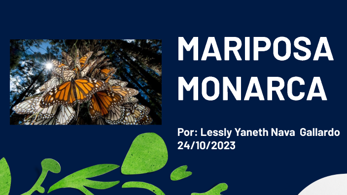 AUTOAPRENDIZAJE P2_APLICACIONES by LESSLY YANETH NAVA GALLARDO on Prezi