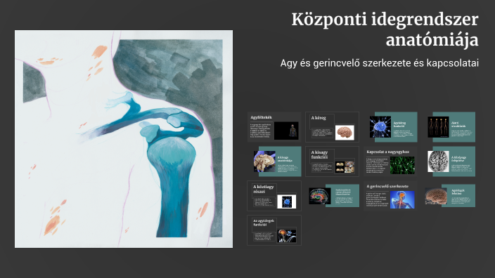 Központi idegrendszer anatómiája by Márton Dr Barabás on Prezi