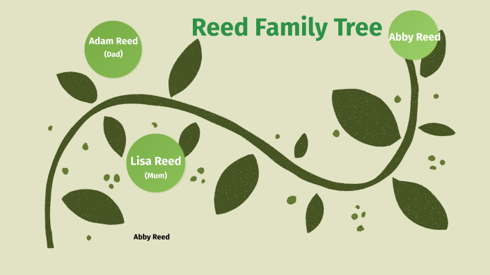 Reed Family Tree by Abby Reed on Prezi