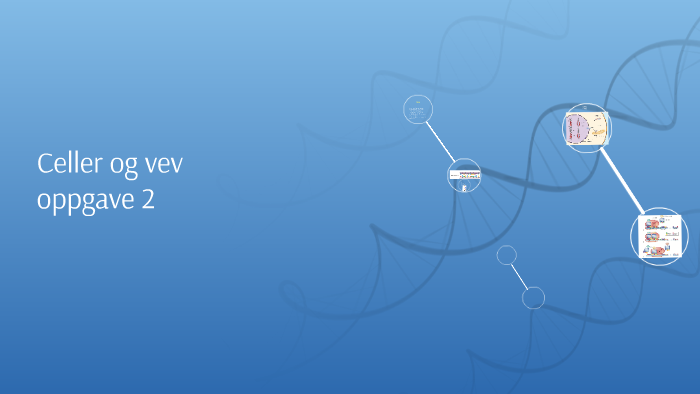 Celler og vev by Ida Vie on Prezi