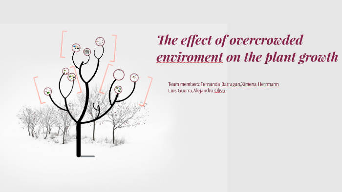 the effect of overcrowded enviroment on the plant grow? by Xalf BOGH on ...