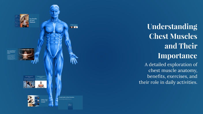 Understanding Chest Muscles and Their Importance by Amanda Hammett on Prezi