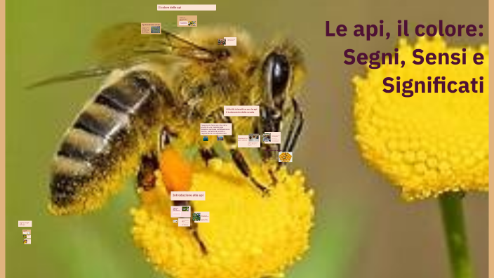 Le api, il colore: Segni, Sensi e Significati by Ivana Roccuzzo on Prezi