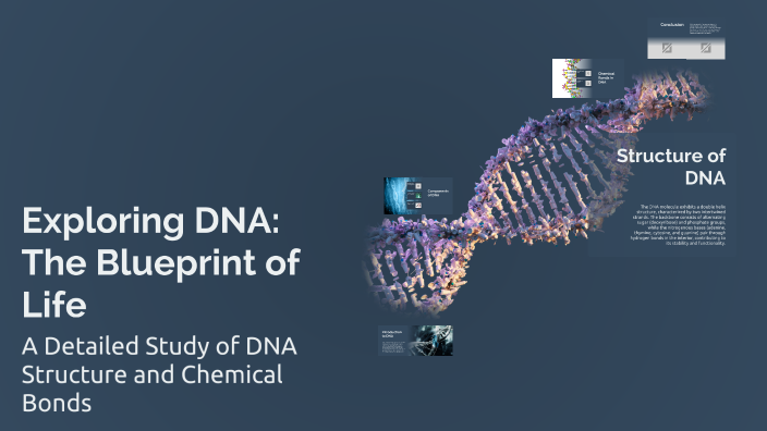 Exploring DNA: The Blueprint of Life by Yichen ZHOU on Prezi