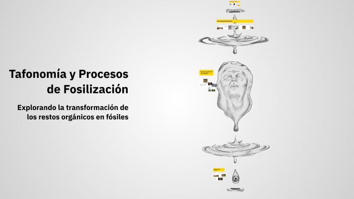 Tafonomía y Procesos de Fosilización by Angel Raul Maldonado Bruna on Prezi