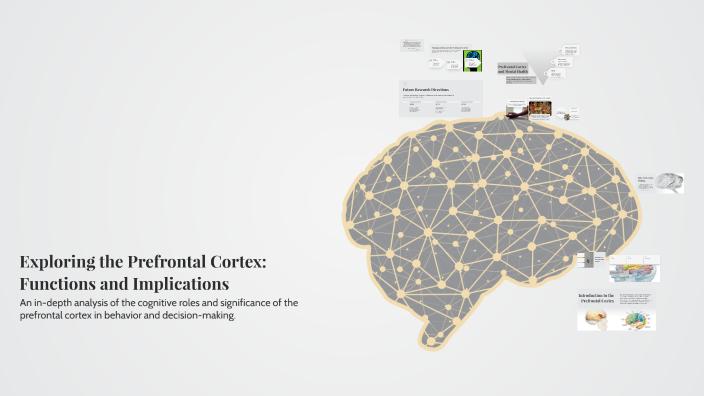 Exploring the Prefrontal Cortex: Functions and Implications by M gamal ...