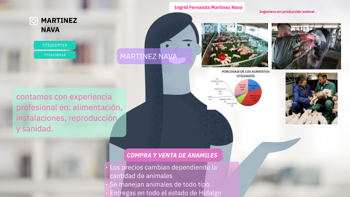 perfil profesional by Ingrid Fernanda Martínez Nava on Prezi