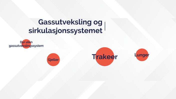 gassutveksling og sirkulasjonssystem by Agathe Eriksen on Prezi