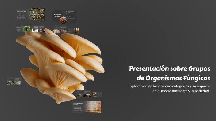 Presentación sobre Grupos de Organismos Fúngicos by on Prezi