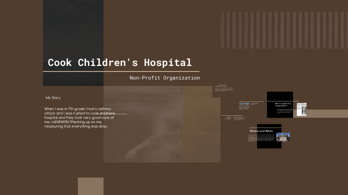 Non-Profit Organization by Christian Caraballo on Prezi