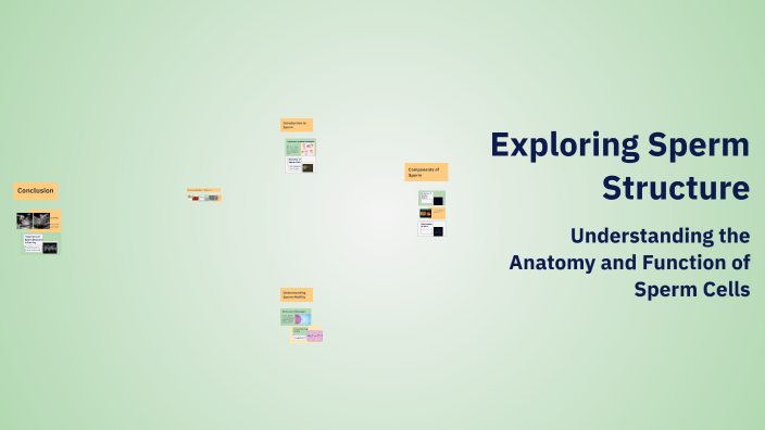 Exploring Sperm Structure by Prangya.P Bishi on Prezi