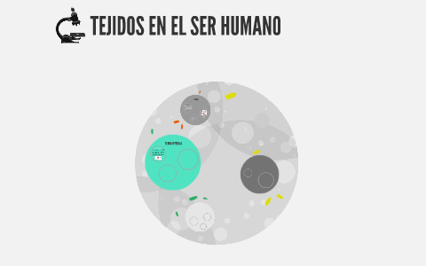 TEJIDO EPITELIAL by Emily Armijo Ibarra