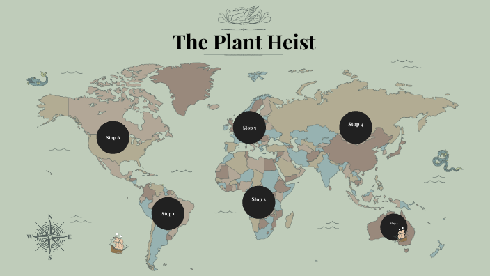 Top Secret Plant Party by Iman Wahle on Prezi