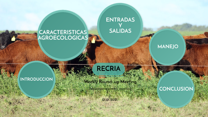 Sistema productivo extensivo: Recria by felipe Ducid on Prezi