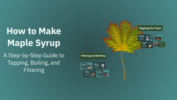 How to Make Maple Syrup by gabe gamble on Prezi
