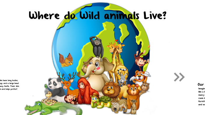 Where Wild Animals Live by Rana Ziada on Prezi