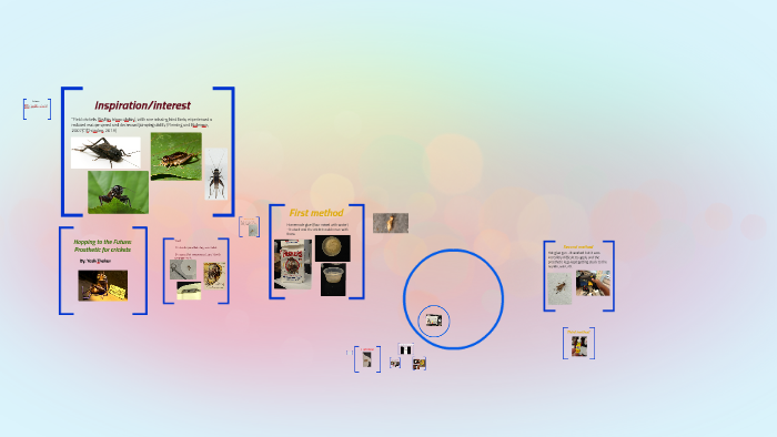 Insect prosthetics by Yash Thakur on Prezi