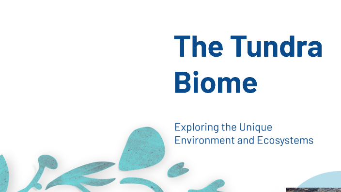 The Tundra Biome by RILEY HUTCHINSON on Prezi