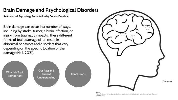 Abnormal Behavior and Brain Damage by C D on Prezi