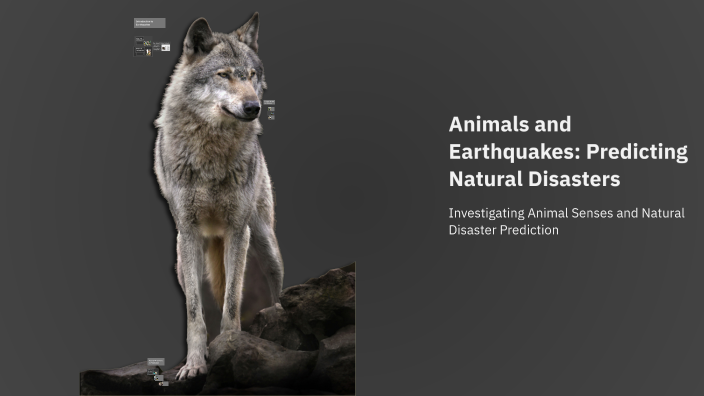 Animals and Earthquakes: Predicting Natural Disasters by Yohith on Prezi