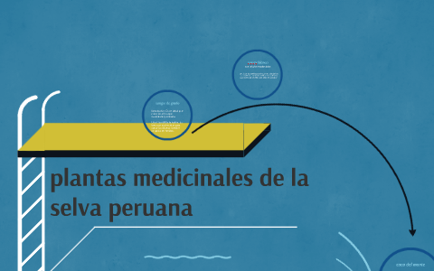plantas medicinales de la selva peruana by jefri rojas on Prezi