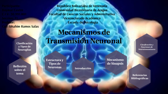 Mecanismos de Transmisión Neuronal by Daymar Castro