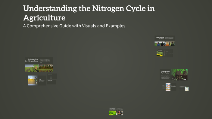 Understanding the Nitrogen Cycle in Agriculture by zaw lin on Prezi