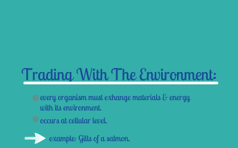 AP bio Ch. 42 Circulation & Gas Exchange by Nicole Kujala on Prezi