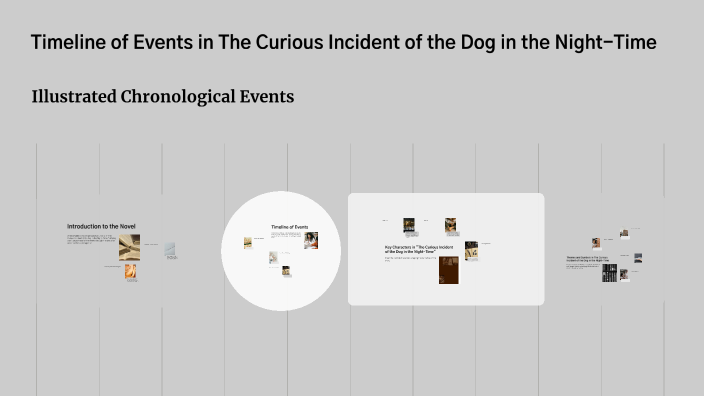 Timeline of Events in The Curious Incident of the Dog in the Night-Time ...